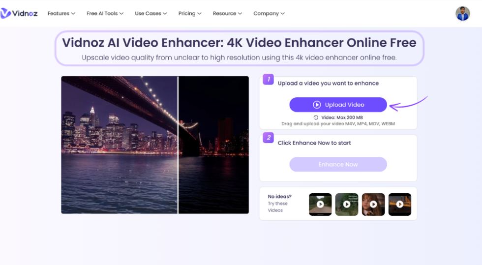 Luma vs Vidnoz: The Ultimate AI Video Guide in 2024?