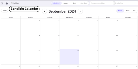Sendible Review 2024: Best Social Media Management Tool?