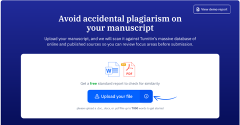 How to Use Paperpal: A Beginner's Guide in 2024