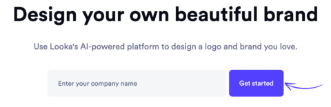 Looka Review in 2024: Best AI Logo Generator?
