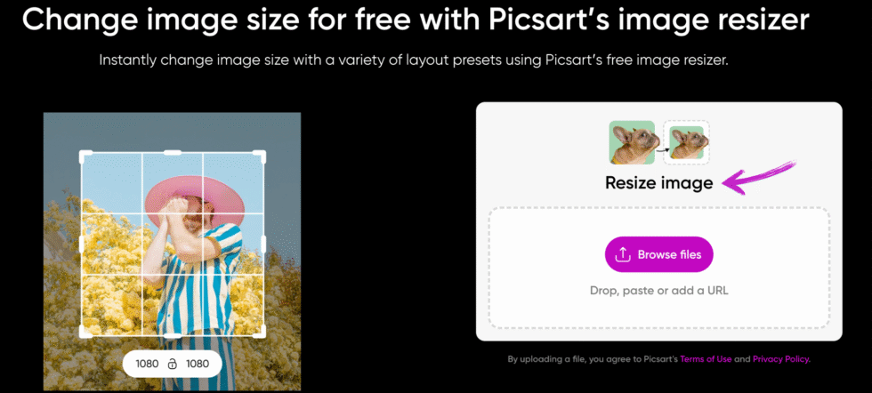 How to Use PicsArt: A Step-by-Step Guideline in 2026?