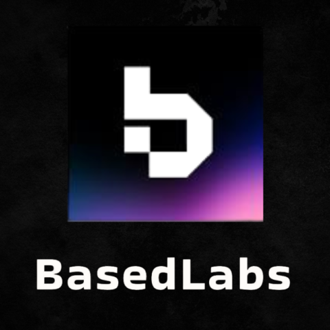 How to Use Basedlabs: A Step-by-Step Guideline in 2024