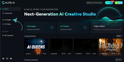 How to Use Kling AI: A Step-by-Step Guideline in 2024