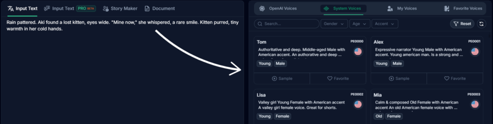 TTSOpenAI Review: Superior Voice Clarity in 2025?