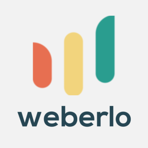 Weberlo Review: The Best ROI Tool in 2025?