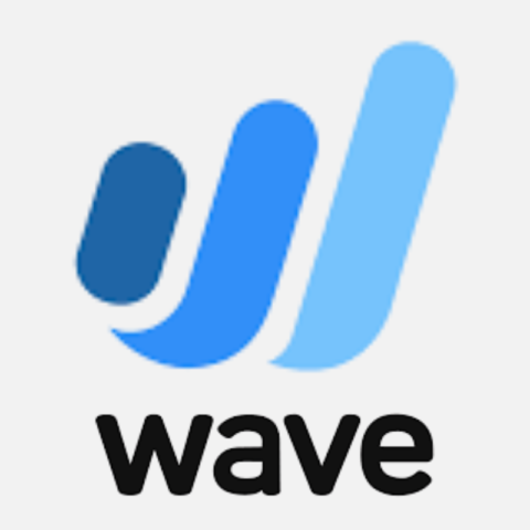 How to Use Wave: A Step-By-Step Guideline in 2025