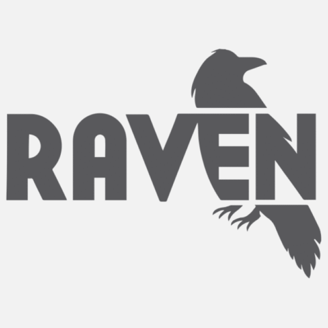 How to Use Raven Tools: A Beginner's Guide in 2025